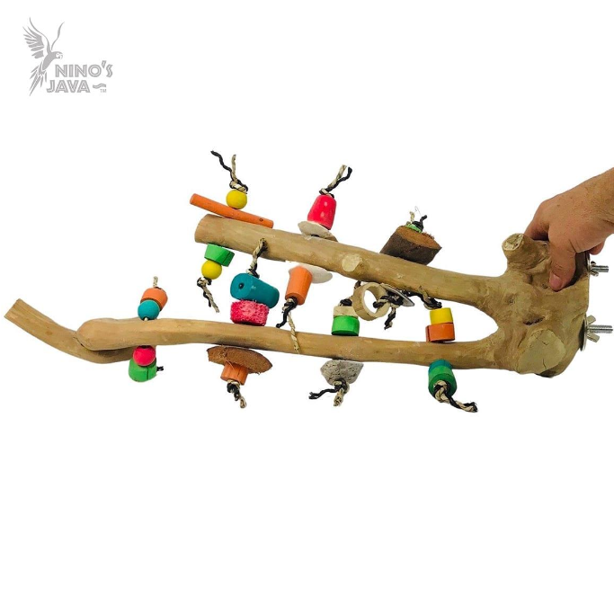 Nino's Java Multi Perch Medium – Exotic Aviaries