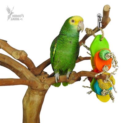 Nino's Java Table Top Perch – Exotic Aviaries