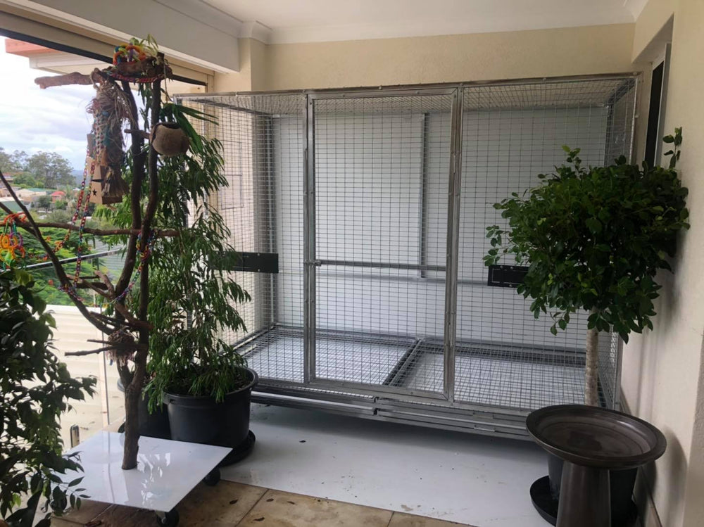 Conventional Aviaries – Exotic Aviaries